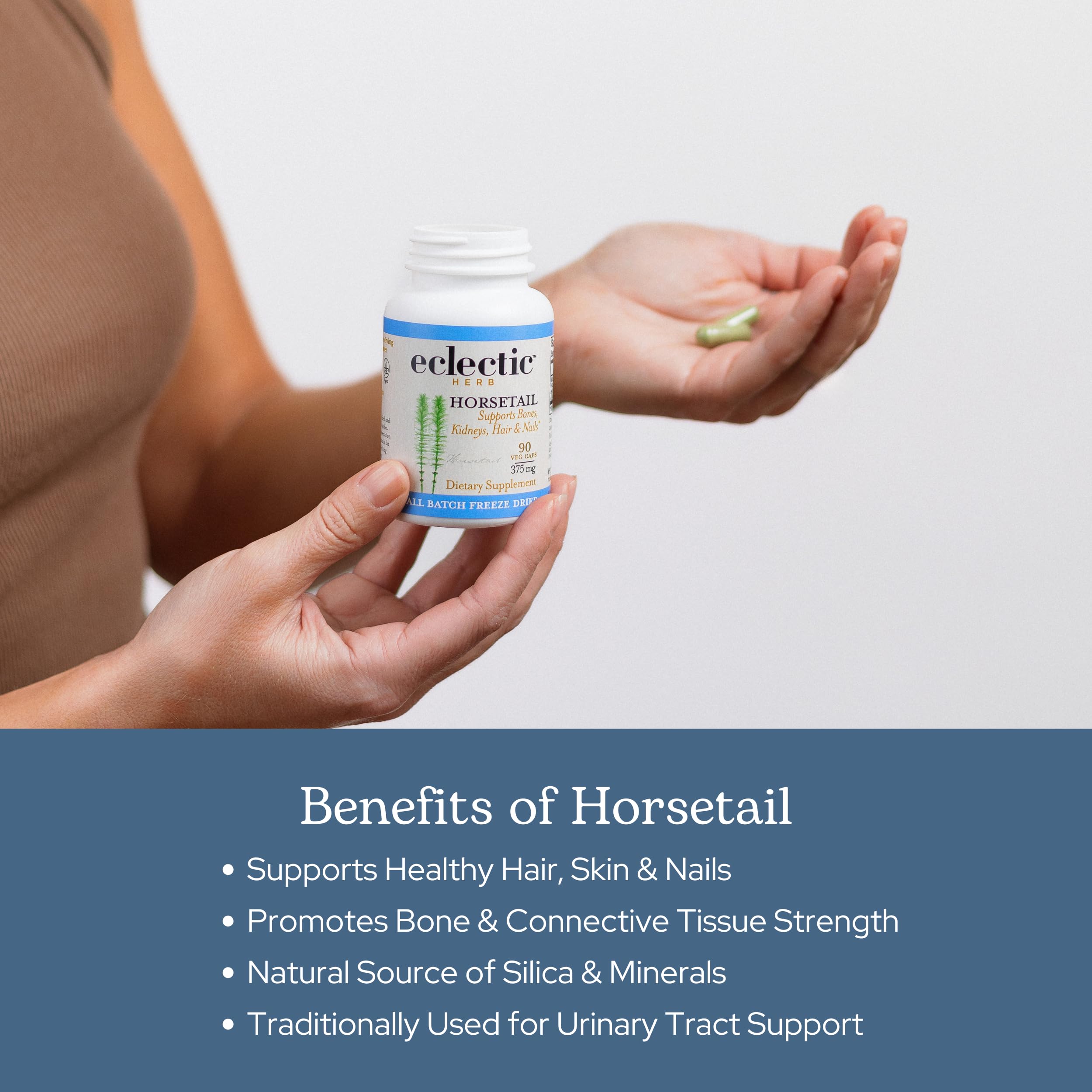 high-quality horsetail extract capsules