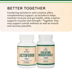 high-quality iron supplement for energy