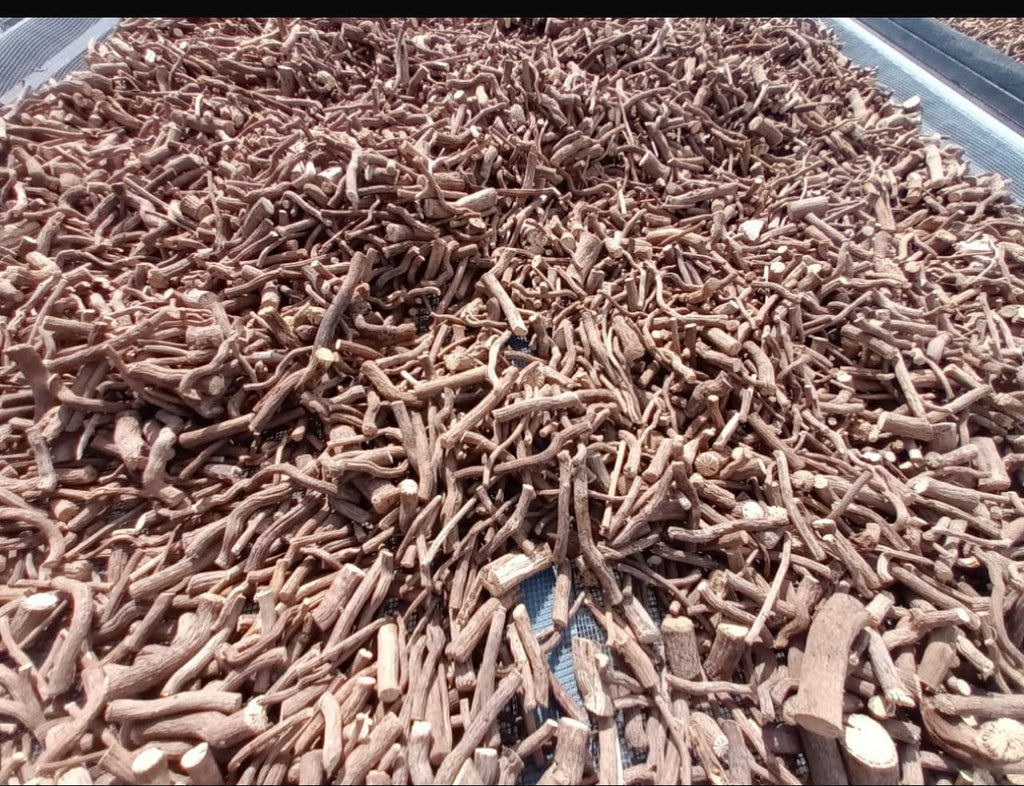 high quality kava kava canada