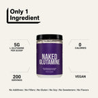 high-quality l-glutamine supplement