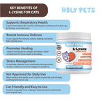high-quality l-lysine for immune support