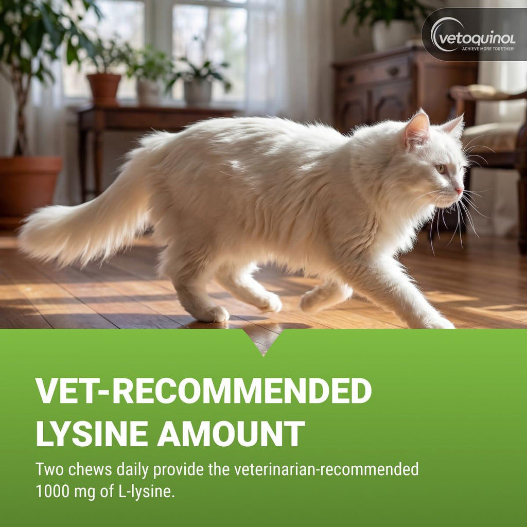High-quality L-Lysine supplement