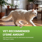 High-quality L-Lysine supplement