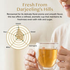 high-quality loose leaf tea experience