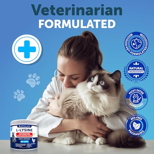 High-quality lysine for cat wellness