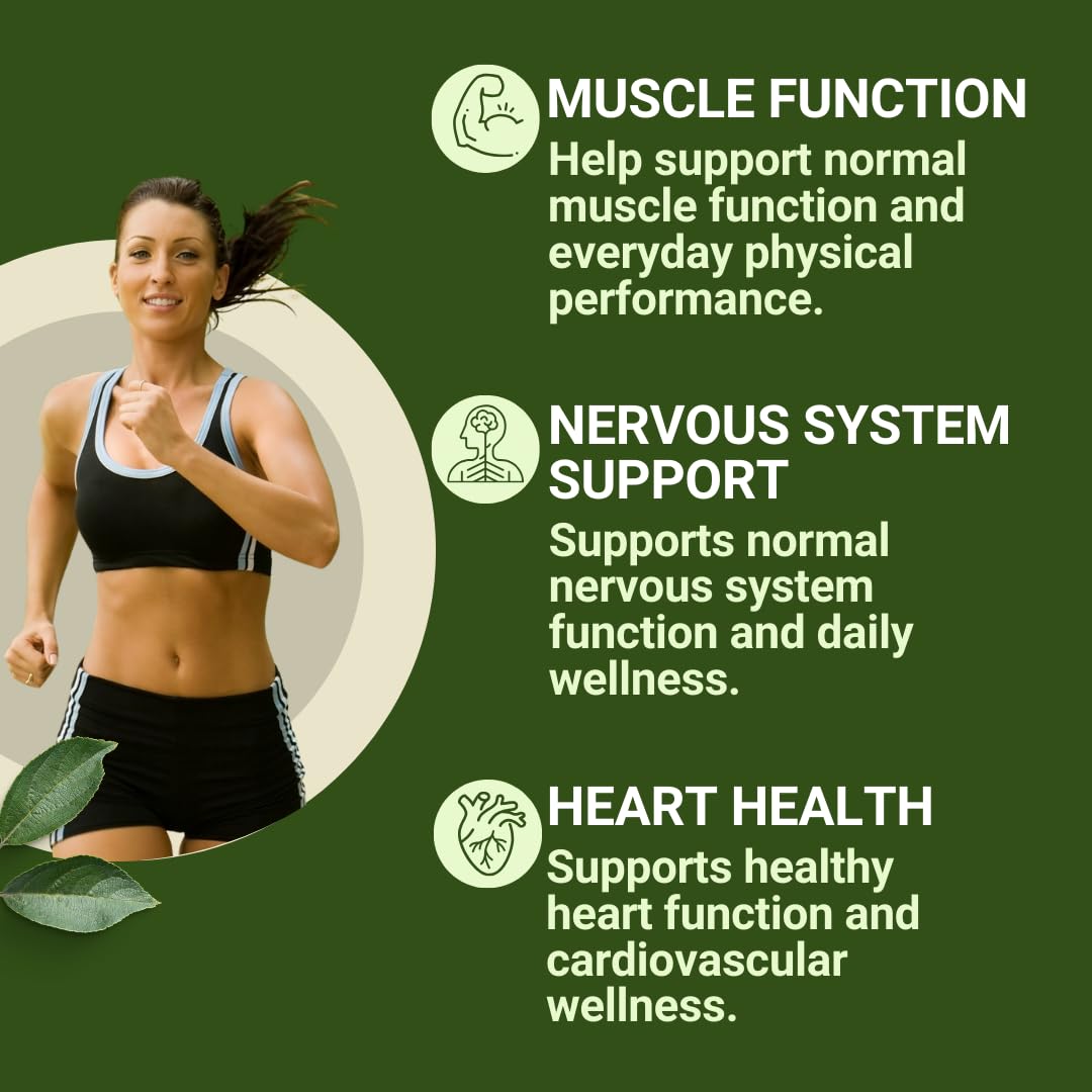 high-quality magnesium bisglycinate supplement