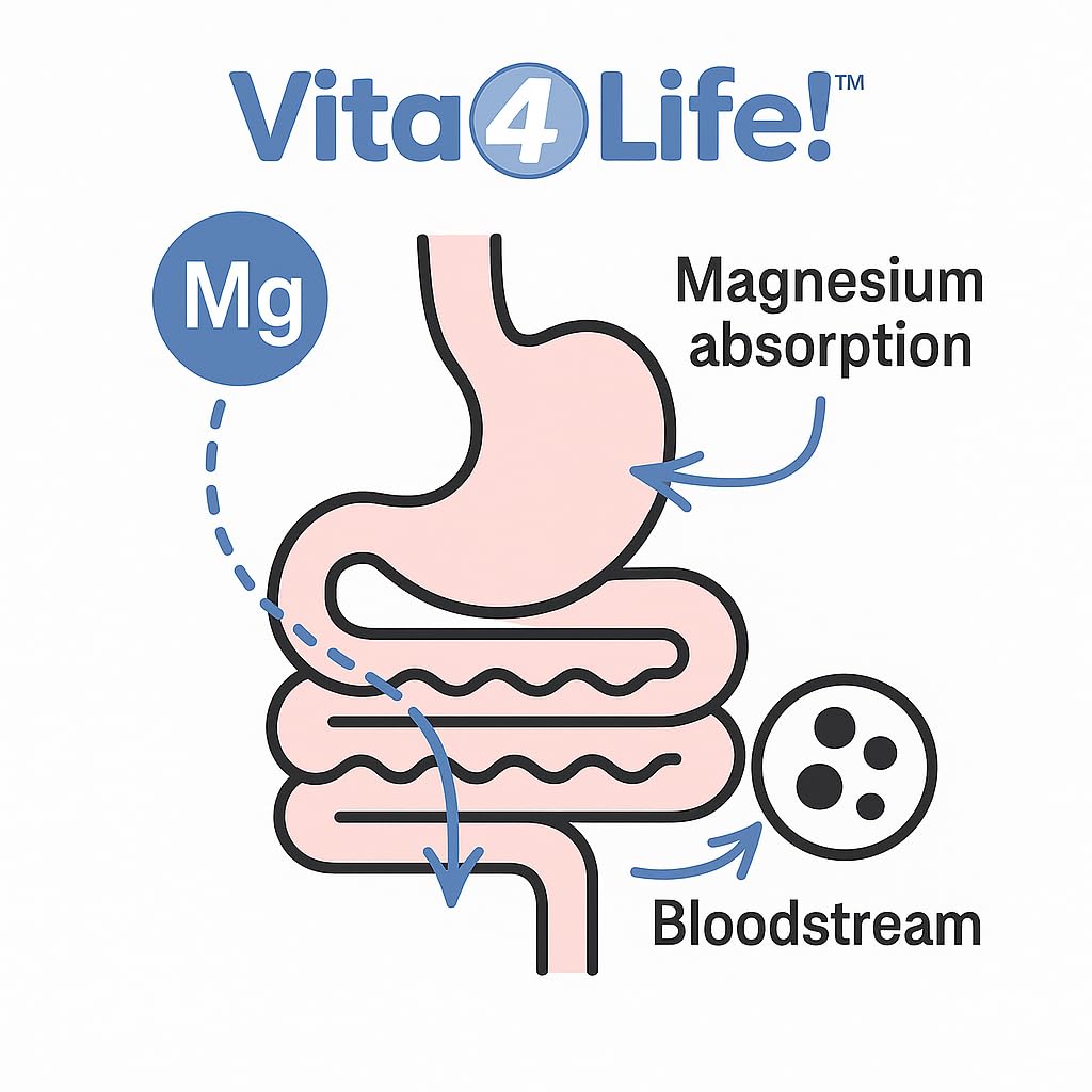 high quality magnesium for daily use