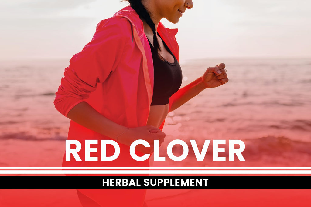 high quality magnesium supplement