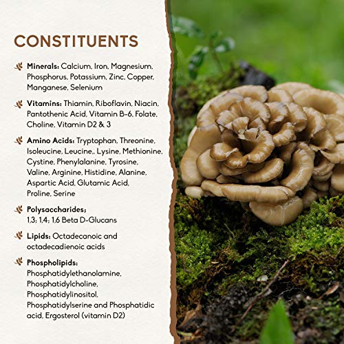high-quality maitake mushrooms for immunity