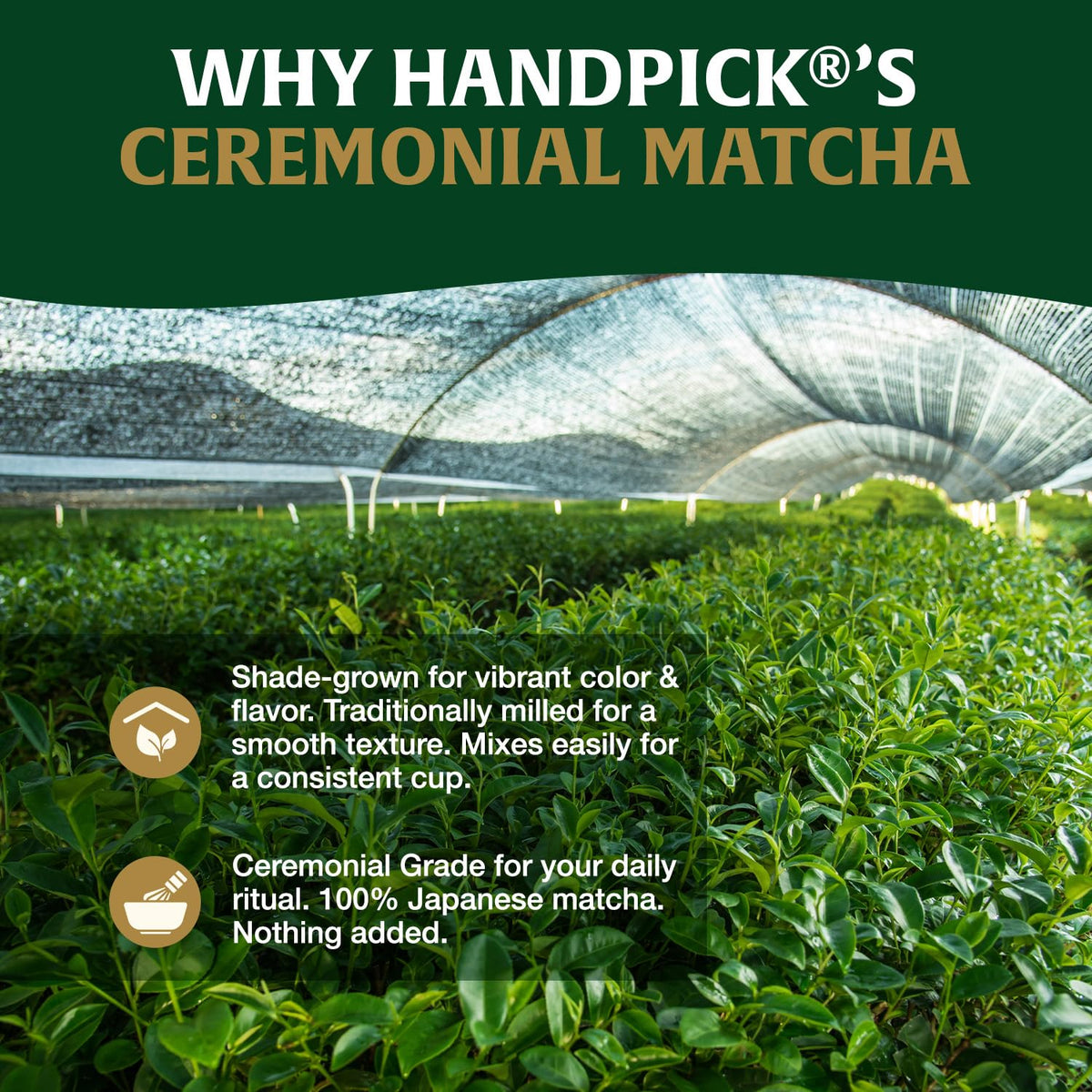 high-quality matcha for lattes