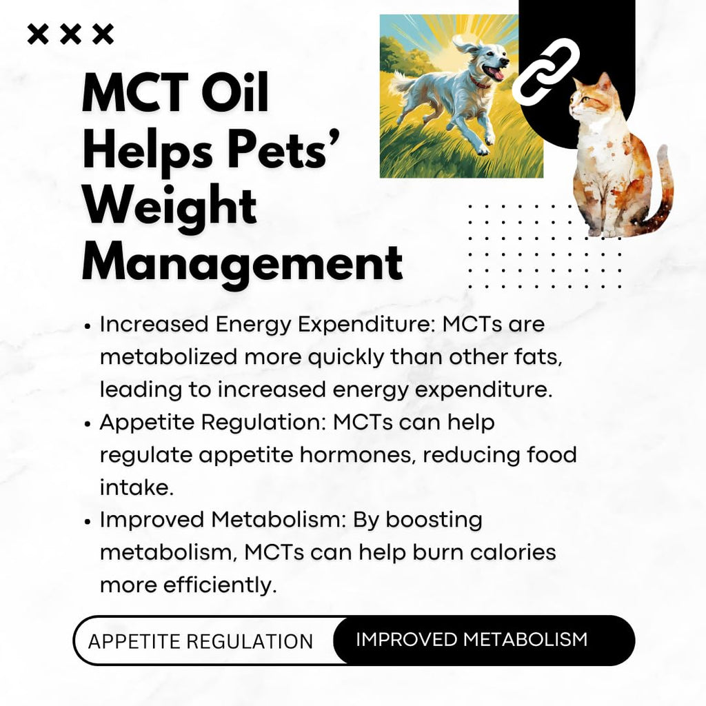 high-quality mct oil supplement