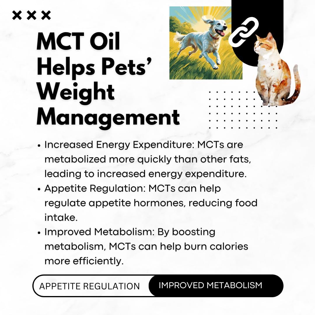 high-quality mct oil supplement