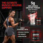 high-quality micronized creatine powder