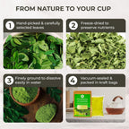 high-quality moringa powder for cooking