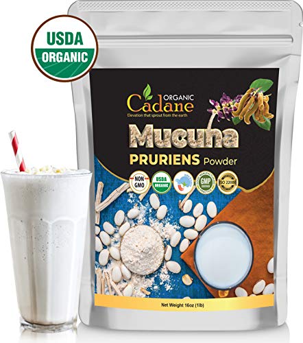 high-quality mucuna pruriens for daily nutrition