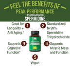 high-quality multivitamins for daily health