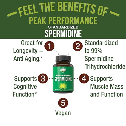 high-quality multivitamins for daily health