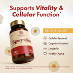 high-quality multivitamins for wellness