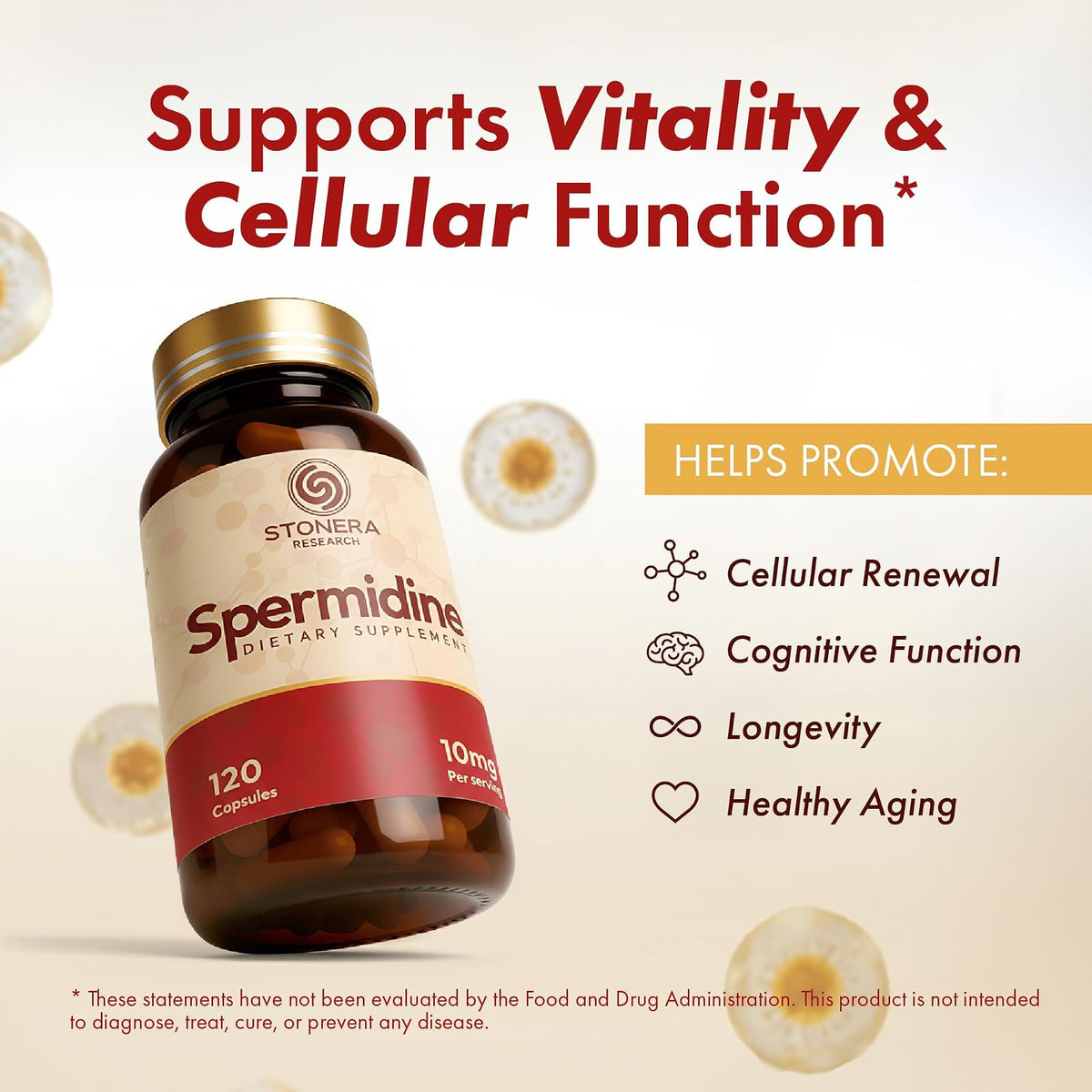 high-quality multivitamins for wellness