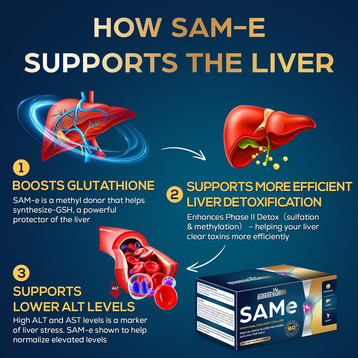 high-quality multivitamins for wellness
