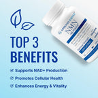 high-quality NMN multivitamins for energy