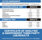high-quality NMN vitamin B complex