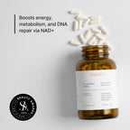 high-quality NMN vitamin B complex