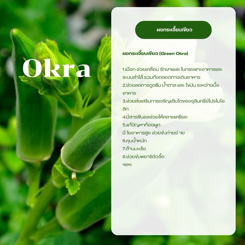 high-quality okra powder for health