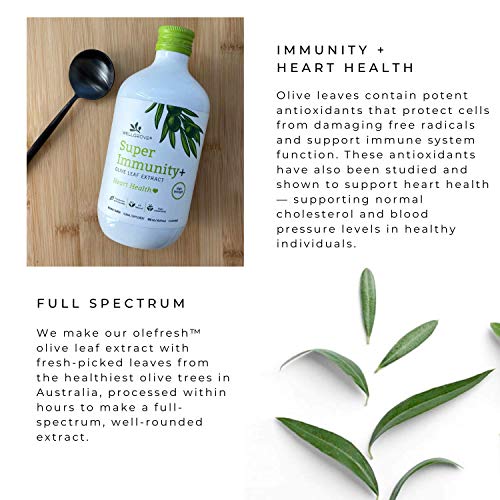 high-quality olive leaf extract Canada