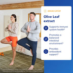 high-quality olive leaf extract supplement