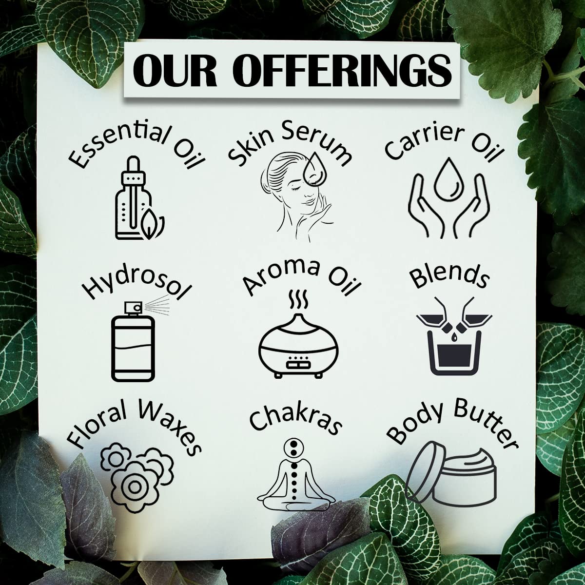 high quality oregano oil extract