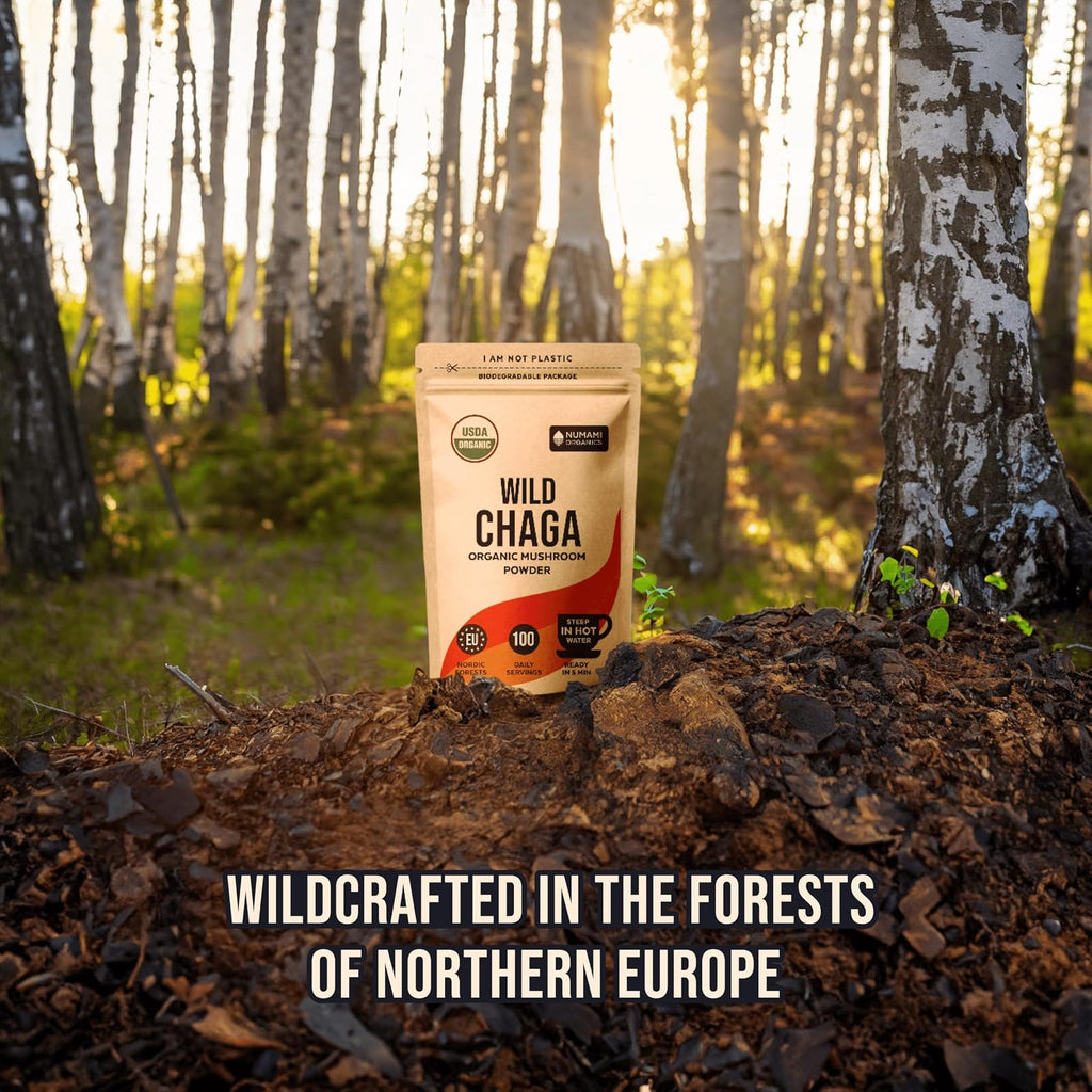 high-quality organic chaga powder