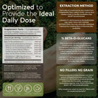 high-quality organic mushroom blend