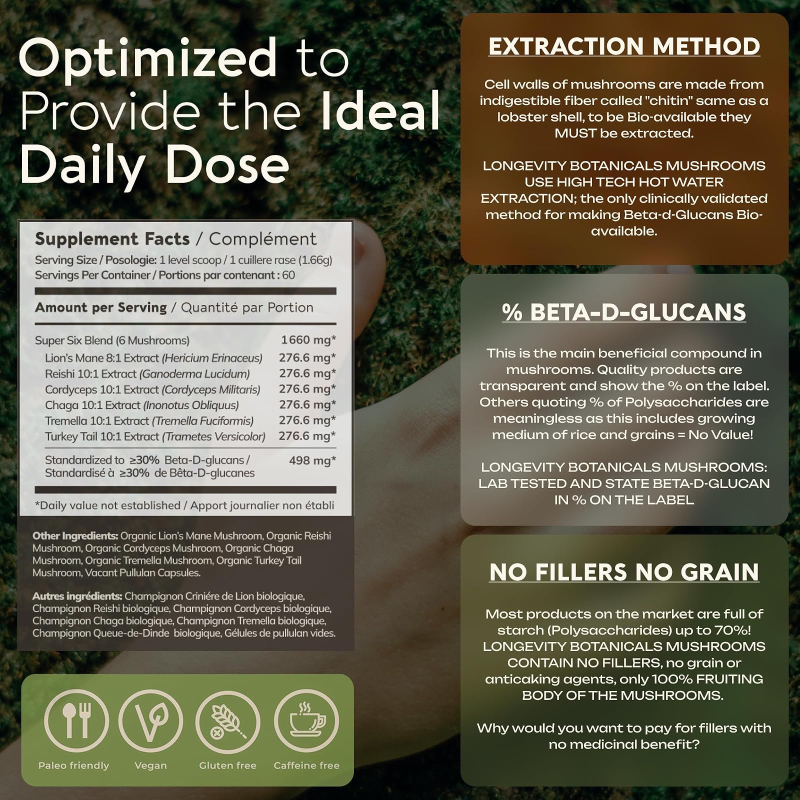 high-quality organic mushroom blend