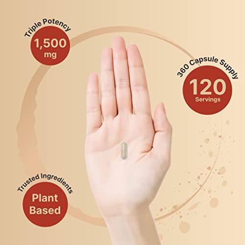 high-quality organic psyllium supplement