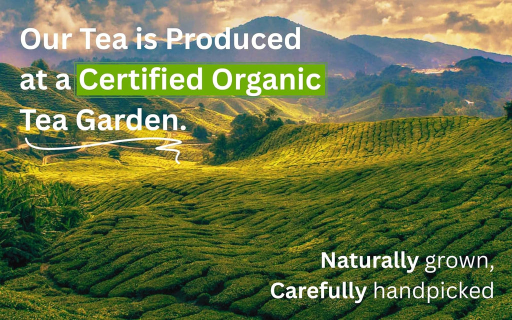 High-quality organic tea for gifting