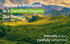 High-quality organic tea for gifting