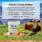 high-quality paleo whey protein