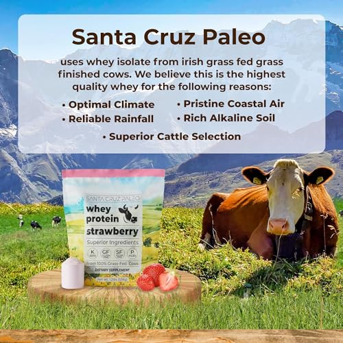 high-quality paleo whey protein