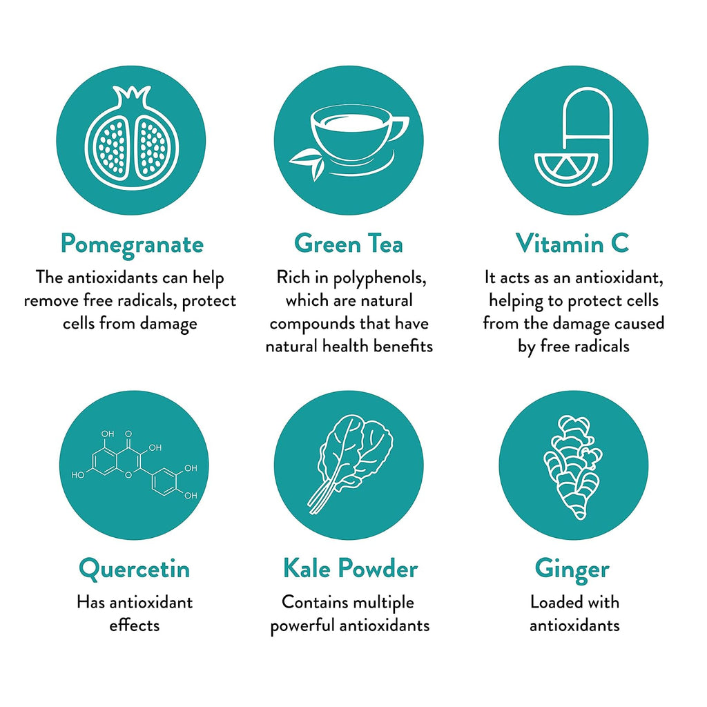 high-quality pea protein powder option