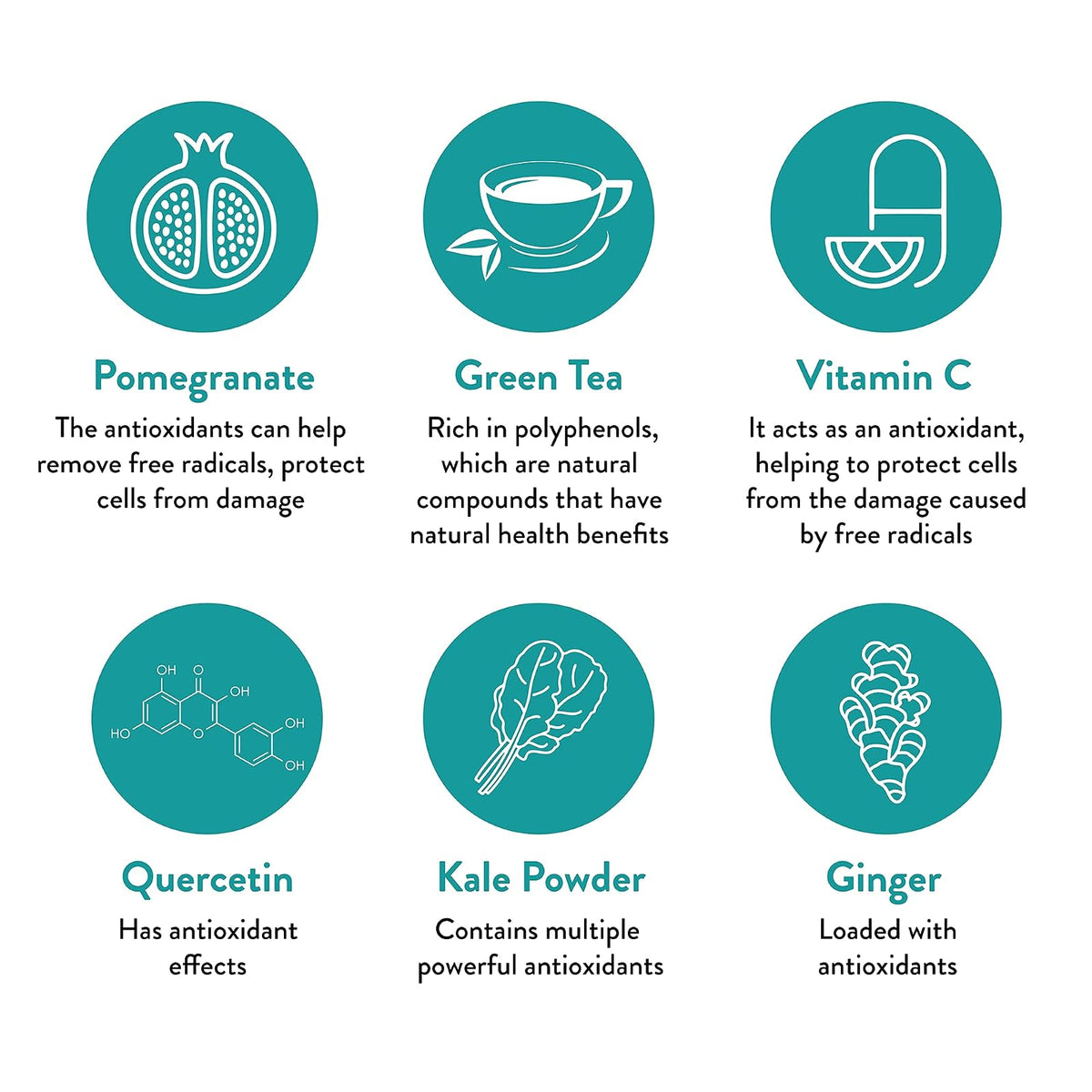 high-quality pea protein powder option
