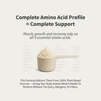 high quality pea protein powder