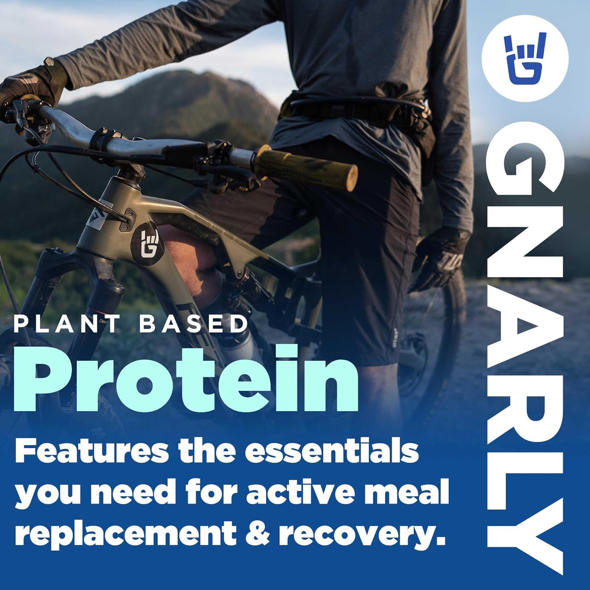 high quality pea protein powder