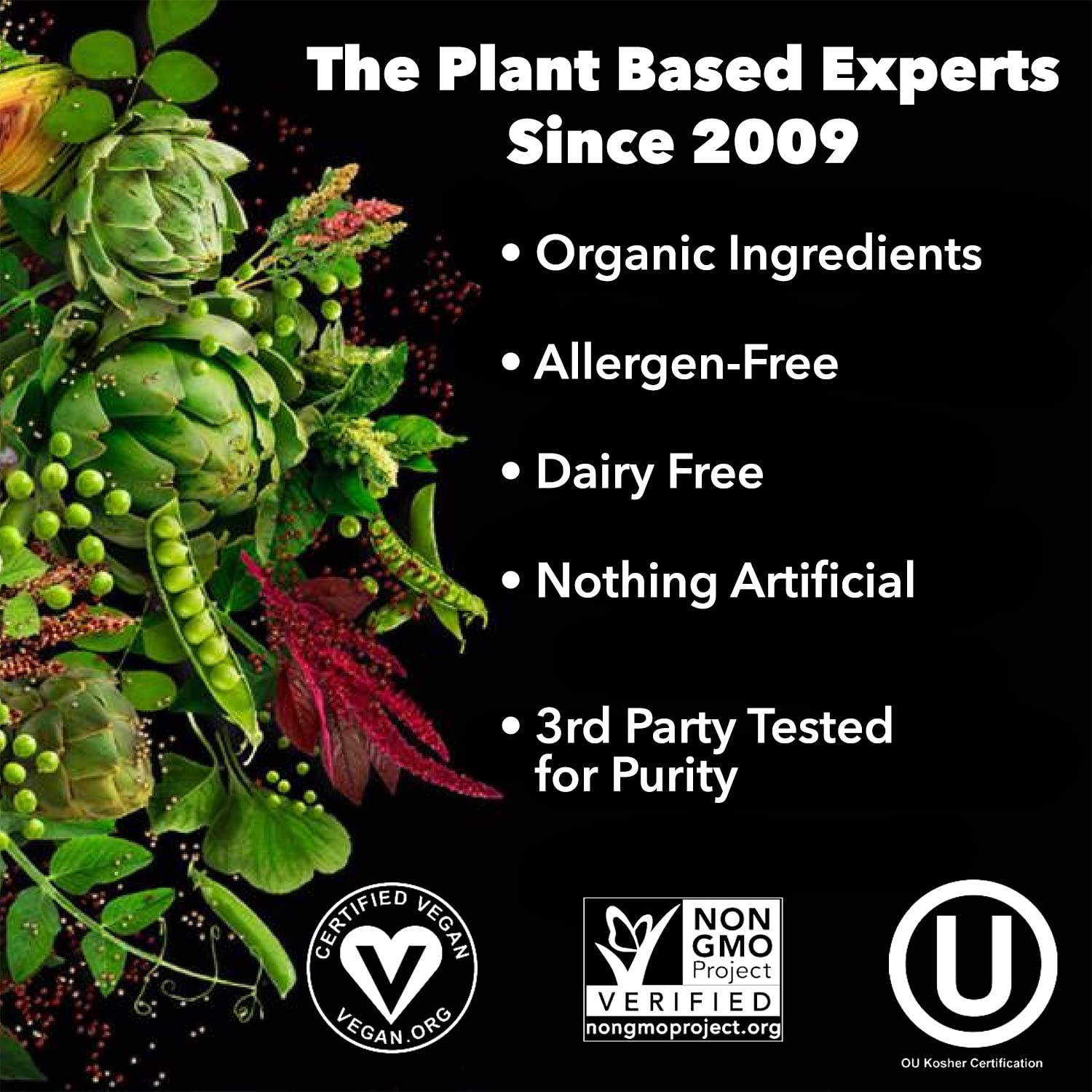 High-quality pea protein powder