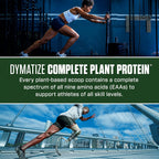 high quality pea protein powder