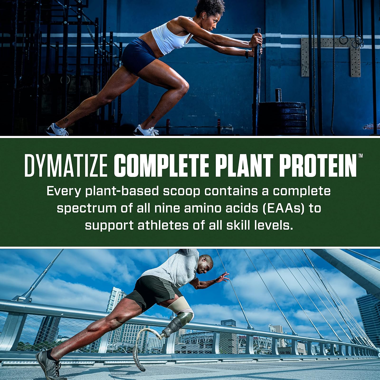 high quality pea protein powder
