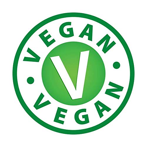 high-quality plant based protein powder
