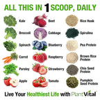 high-quality plant based protein supplement