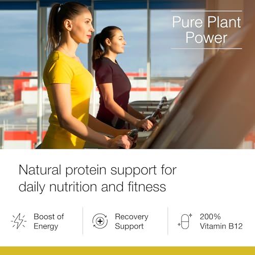 high-quality plant based protein