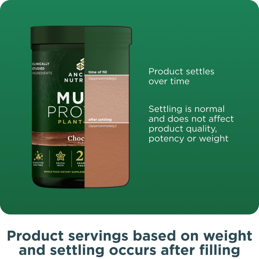 high-quality plant protein for muscle recovery